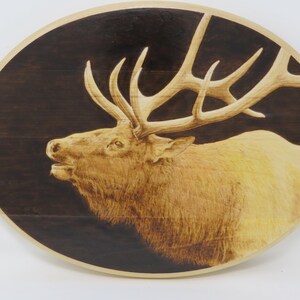 Elk Wood Burning Art on Basswood – Original Pyrography With Colored ...