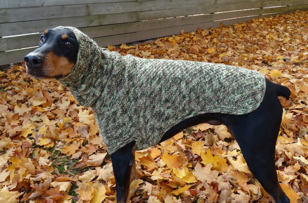 Doberman Camo Large Dog Coat With Snoot - Etsy