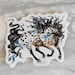 War Pony Sticker Bay Appaloosa Sticker - Etsy