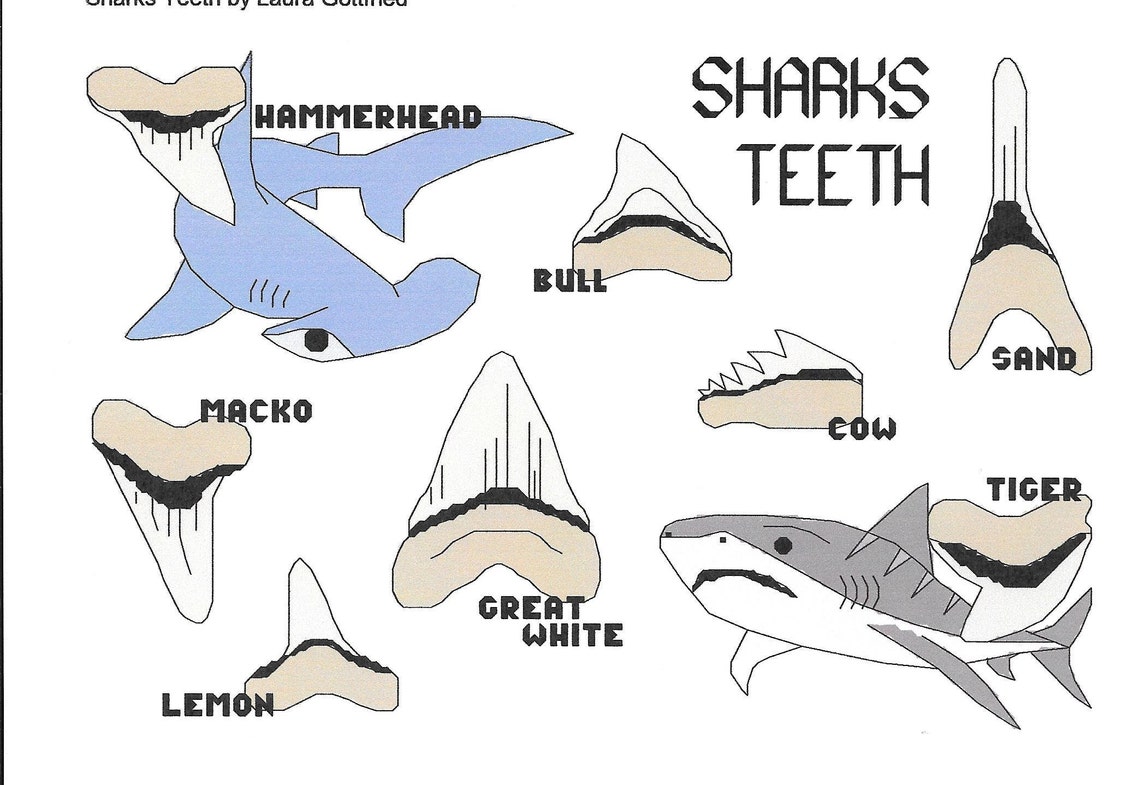 Shark Teeth Cross Stitch Pattern Digital Download Hammerhead Tiger ...
