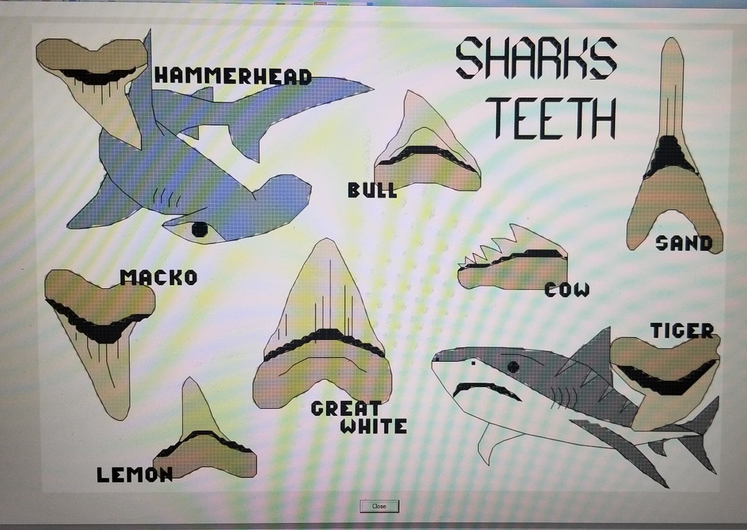 Shark Teeth Cross Stitch Pattern Digital Download Hammerhead Tiger ...