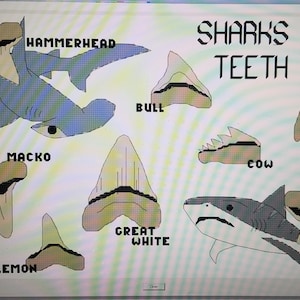 Shark Teeth Cross Stitch Pattern Digital Download Hammerhead Tiger ...