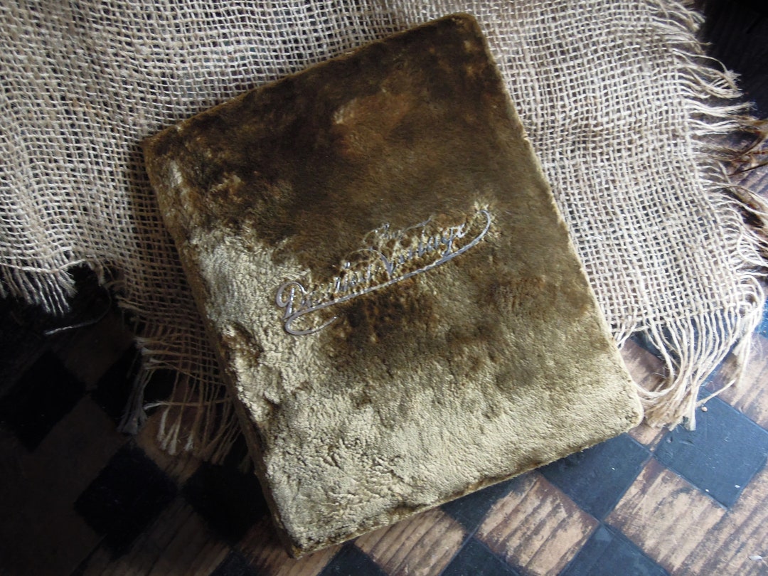 Antique Victorian Book 1882 the Deserted Village by Oliver - Etsy