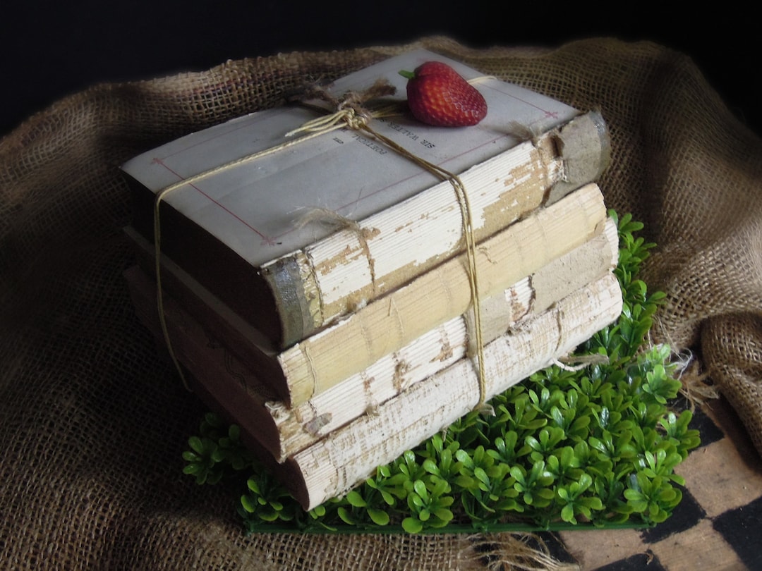 Vintage & Antique Books / Deconstructed Book Collection / Raw Book ...