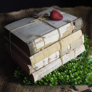 Vintage & Antique Books / Deconstructed Book Collection / Raw Book ...