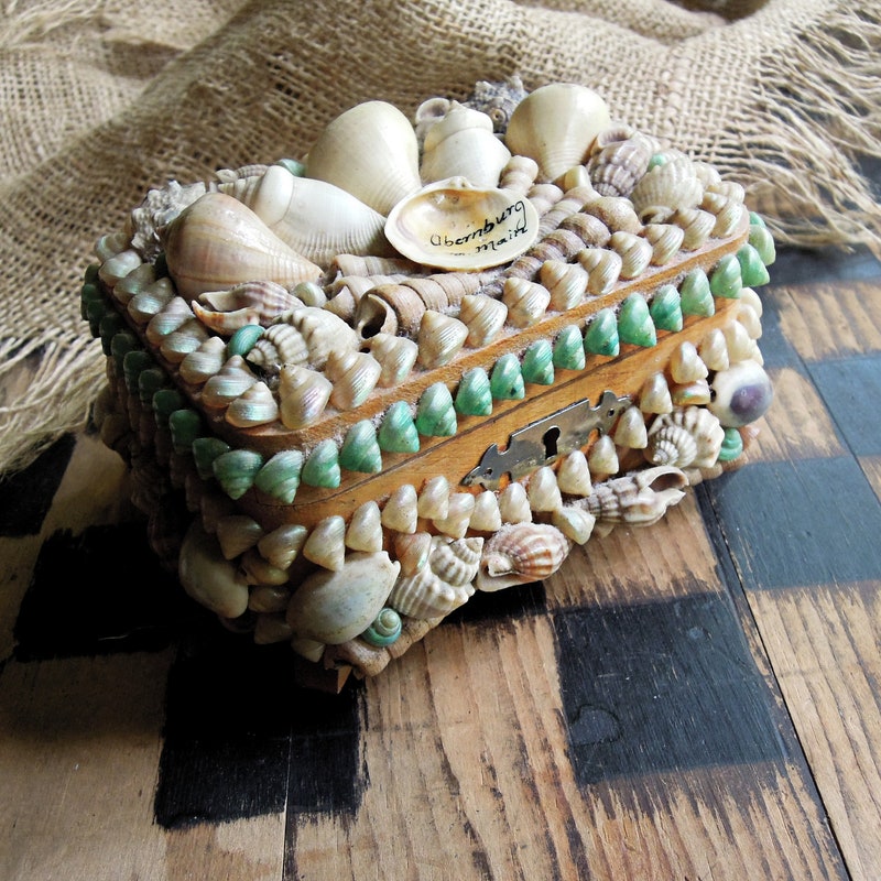 Shell Box - Etsy