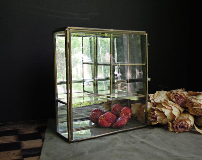 Vintage Glass Curiosity Cabinet / Display Cabinet / Vintage Brass and ...