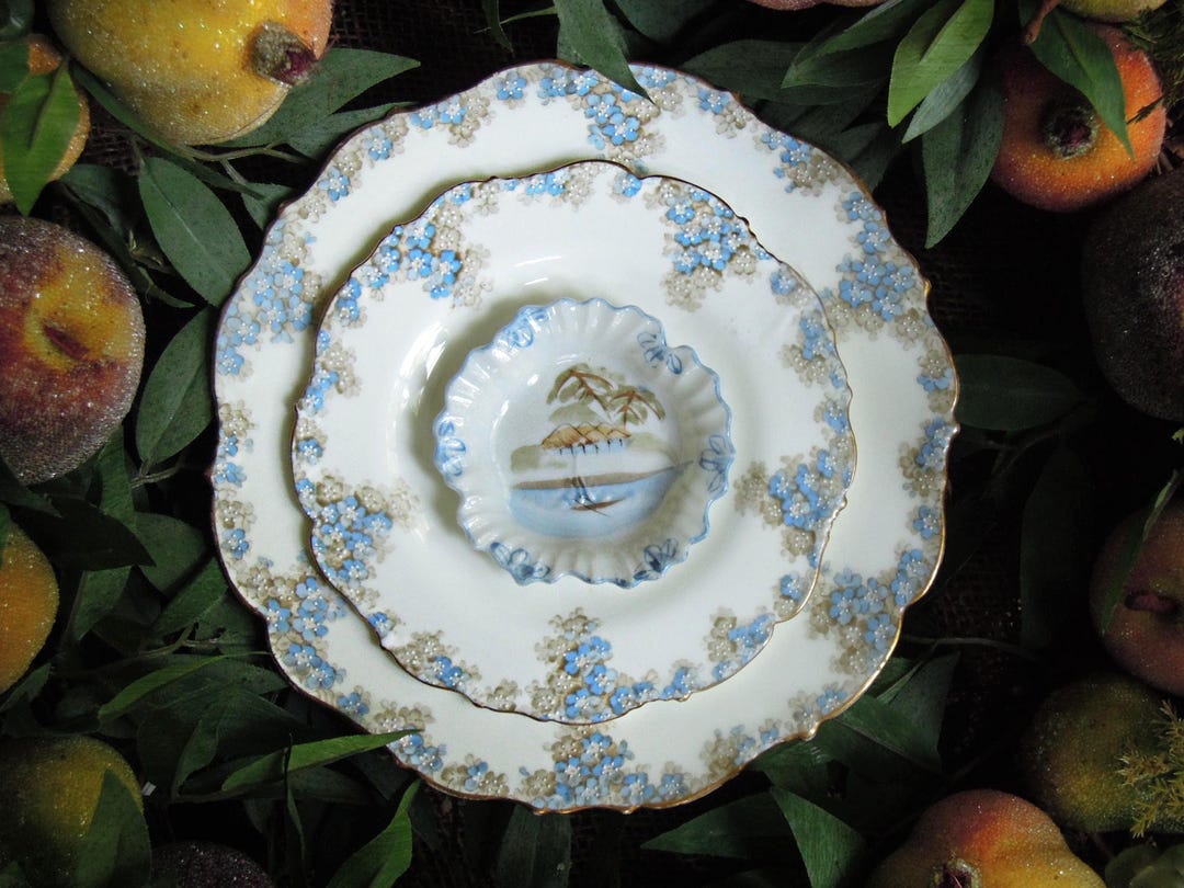 Vintage Hand Painted French Butter Pat Mixed French England Shabby ...