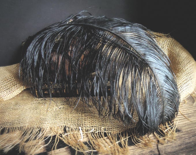 Antique Victorian Ostrich Plume Feather Black Single Jet Black 19th ...