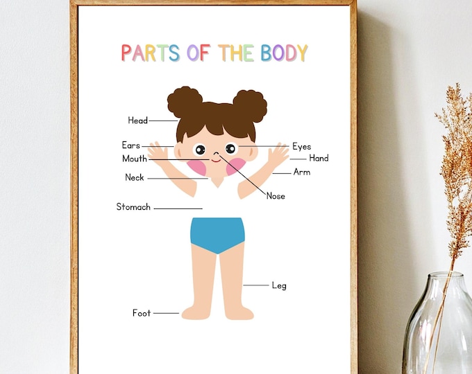 Body Parts Kids Poster | Parts of Bodies Learning for Children | Visual ...