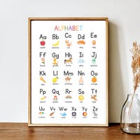 Hand-illustrated Educational Alphabet Wall Art for Nurseries ...