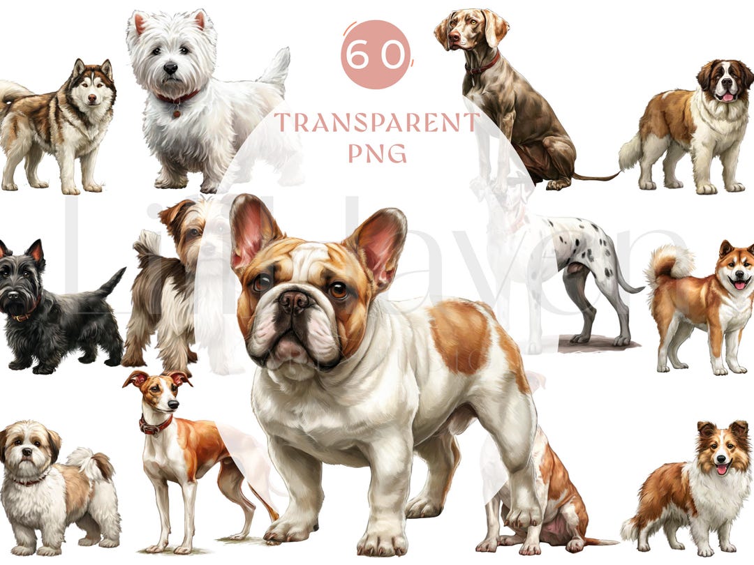 Dog Breeds Clipart Bundle | 60 Banner PNG Dogs | Realistic Pet ...