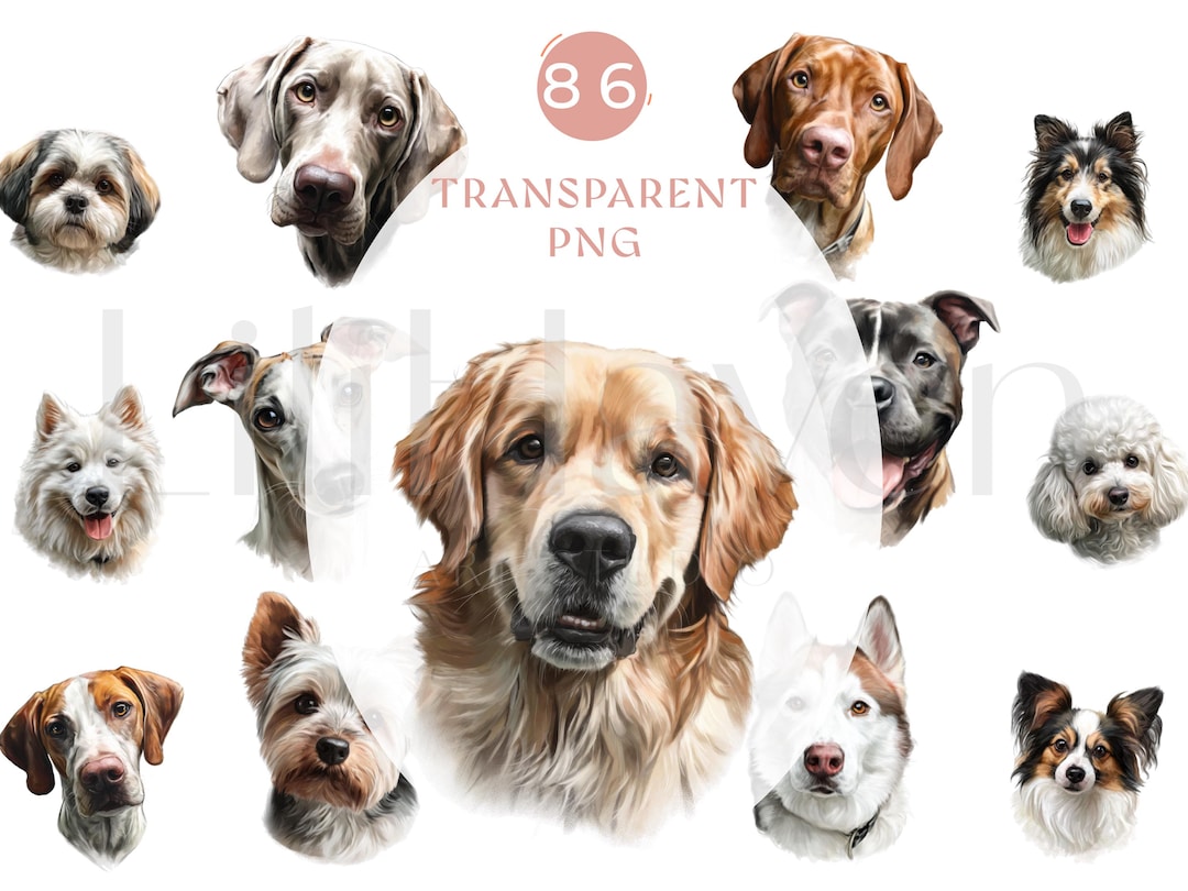 86 Dog Breeds Clipart Bundle, Realistic Dog Faces PNG, Pet Portraits ...