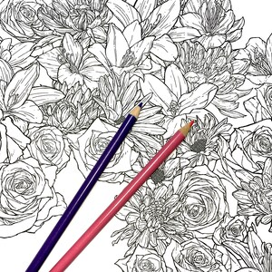 Muz Girl: a Coloring Book by Mark Munoz - Etsy