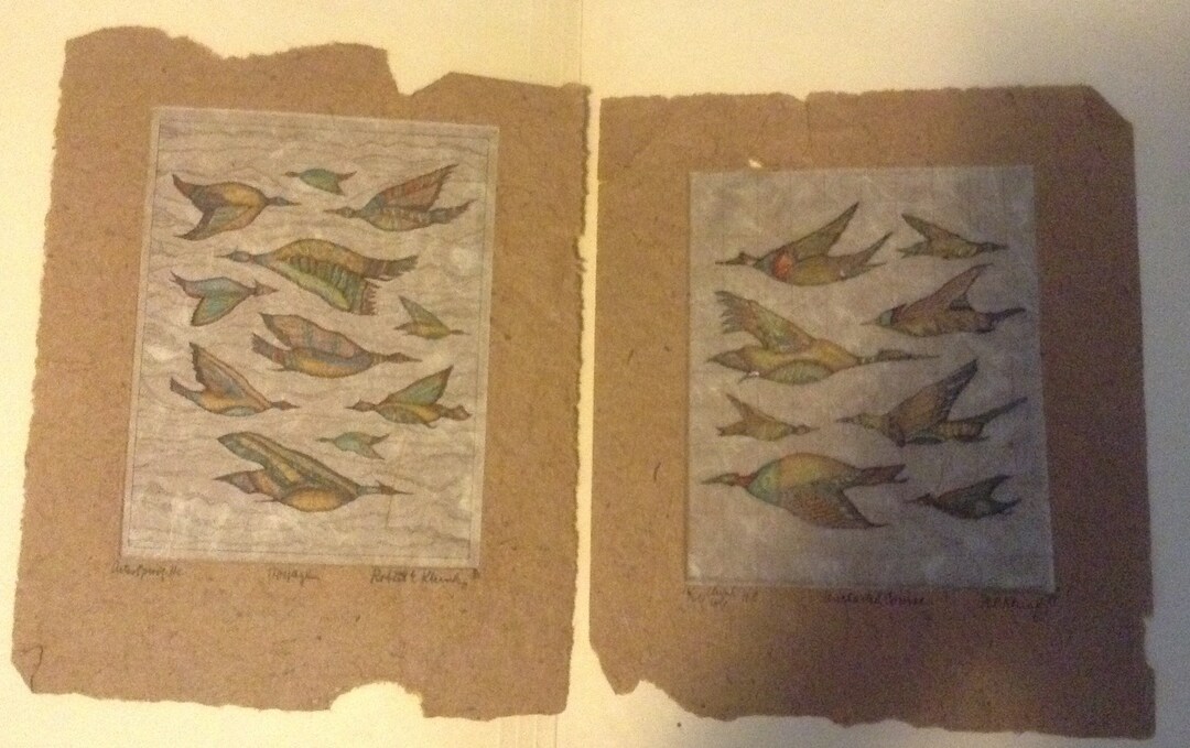Chine Colle, 2 Etchings, Colorful Birds , Signed, Robert E. Klunky - Etsy