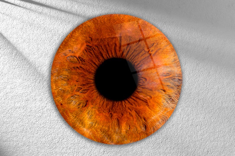 Iris Eye Close-up Glass Wall Art – Personalized Eye Portrait Print ...