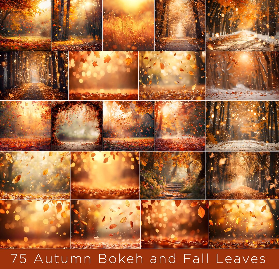 75 Autumn Bokeh and Fall Leaves Photography Backdrops: Fall Photo ...