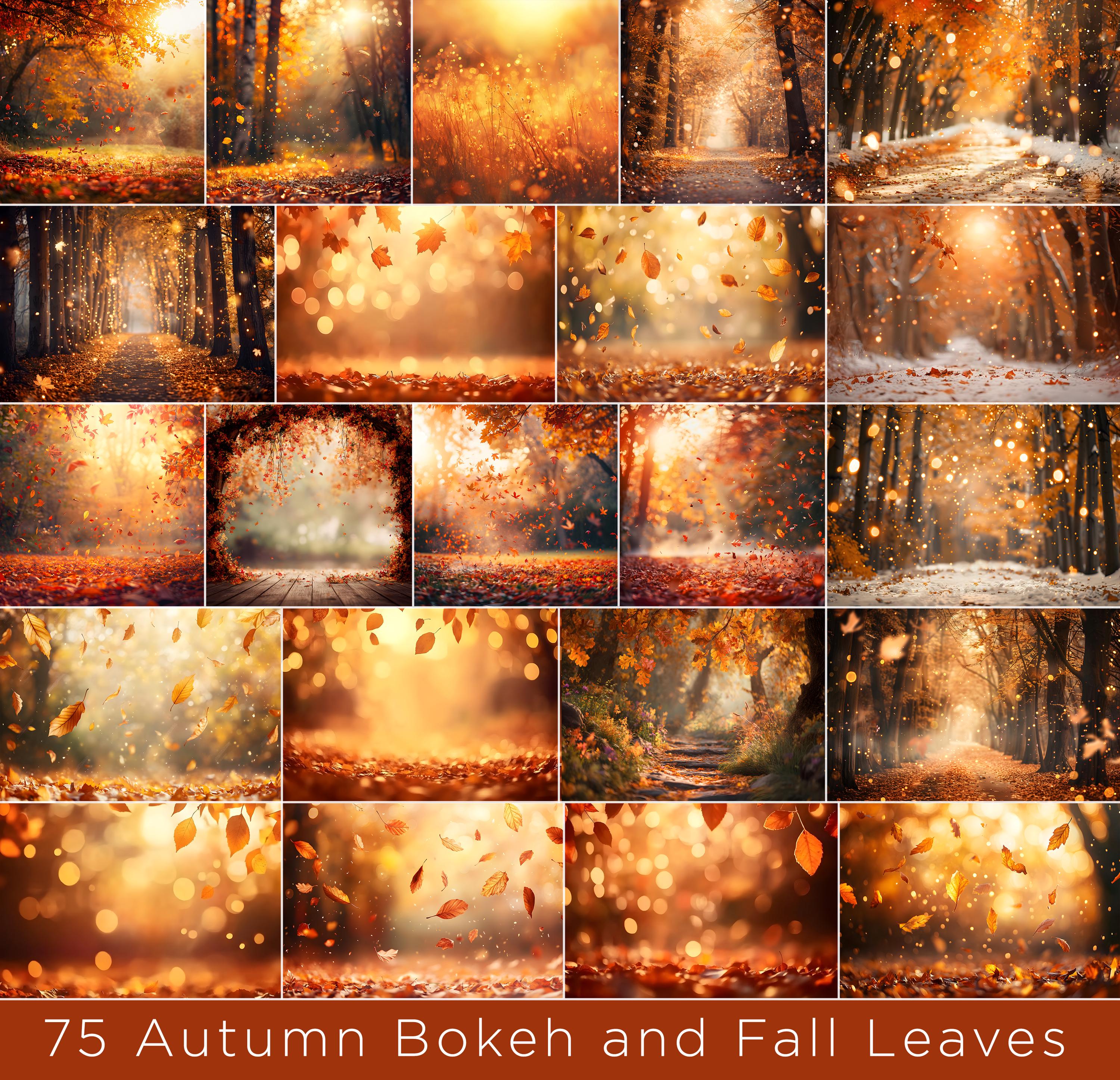 75 Autumn Bokeh and Fall Leaves Photography Backdrops: Fall Photo ...