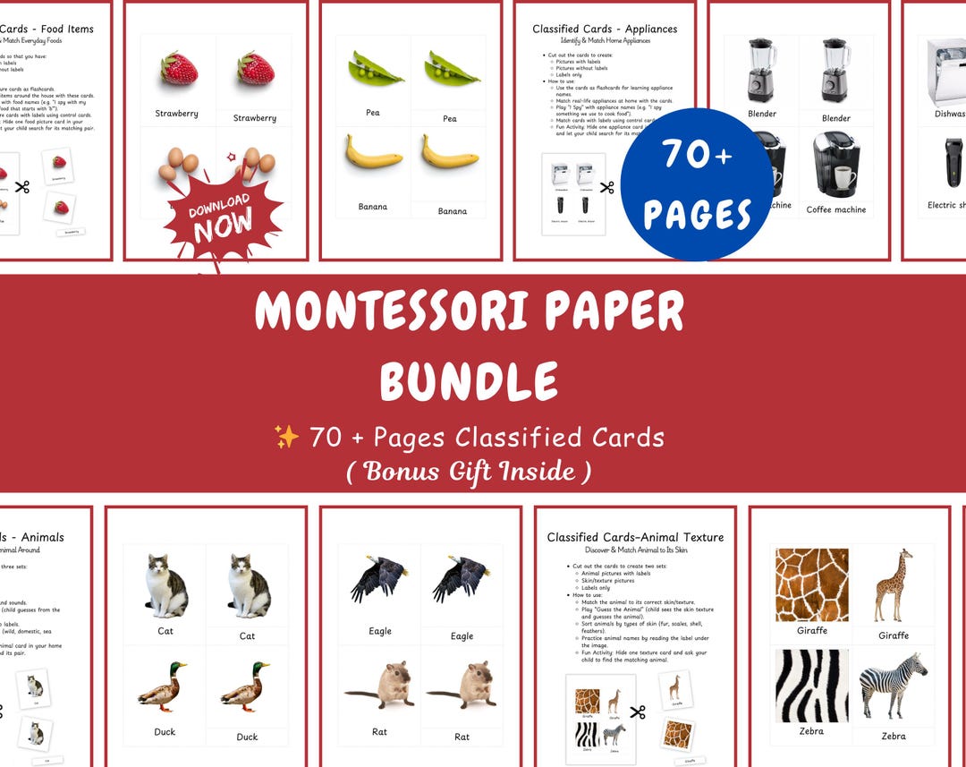 Montessori Classified Cards | Toddler Learning Printable (PDF) - Etsy