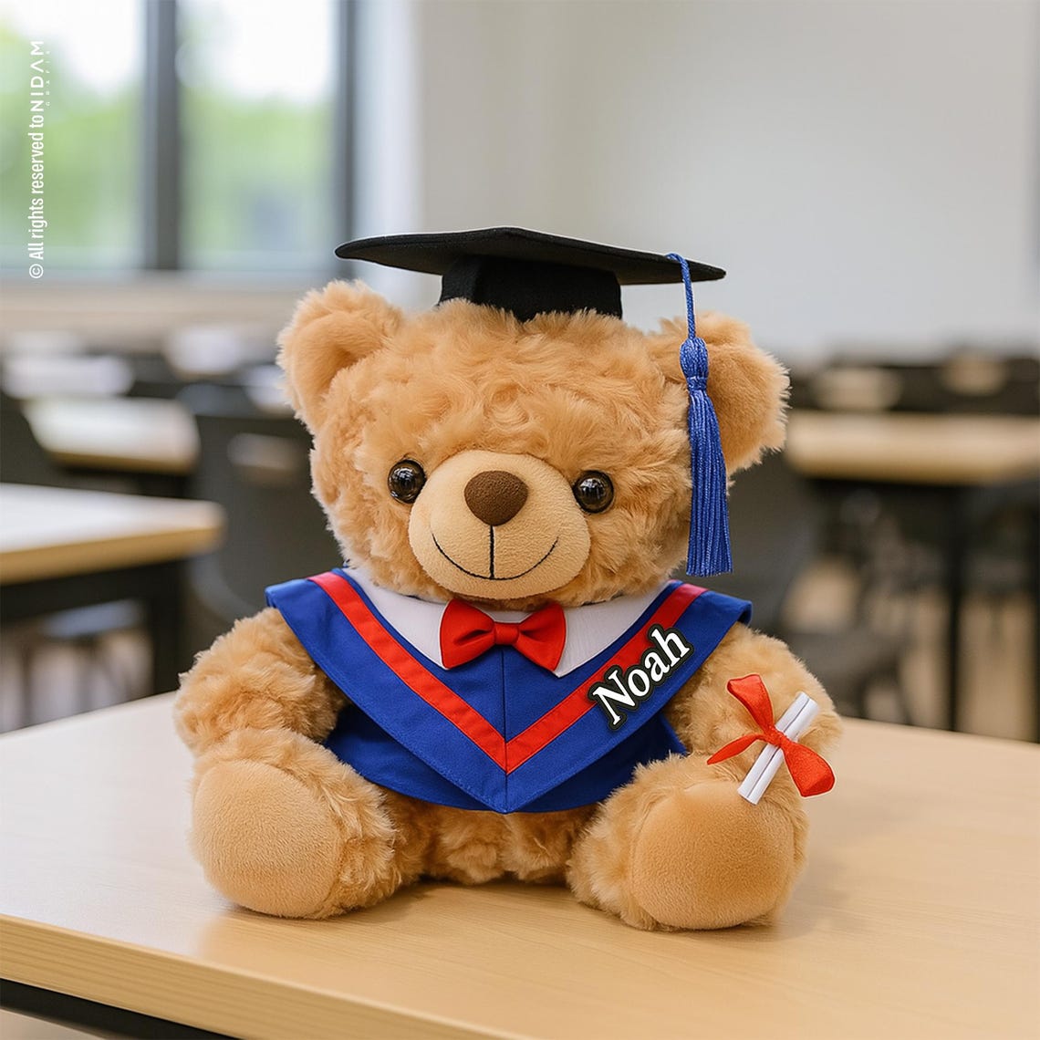 Personalized Graduation Bear 2025: Custom Name Plush Keepsake - Etsy