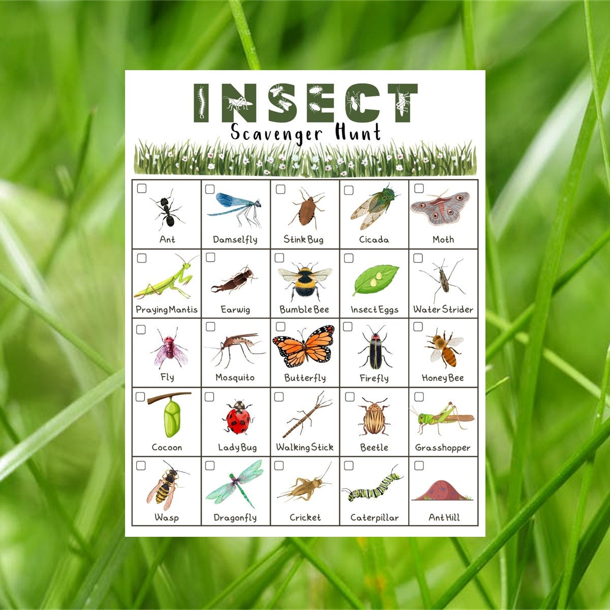 Insect Scavenger Hunt for Kids, Printable Instant Download - Etsy