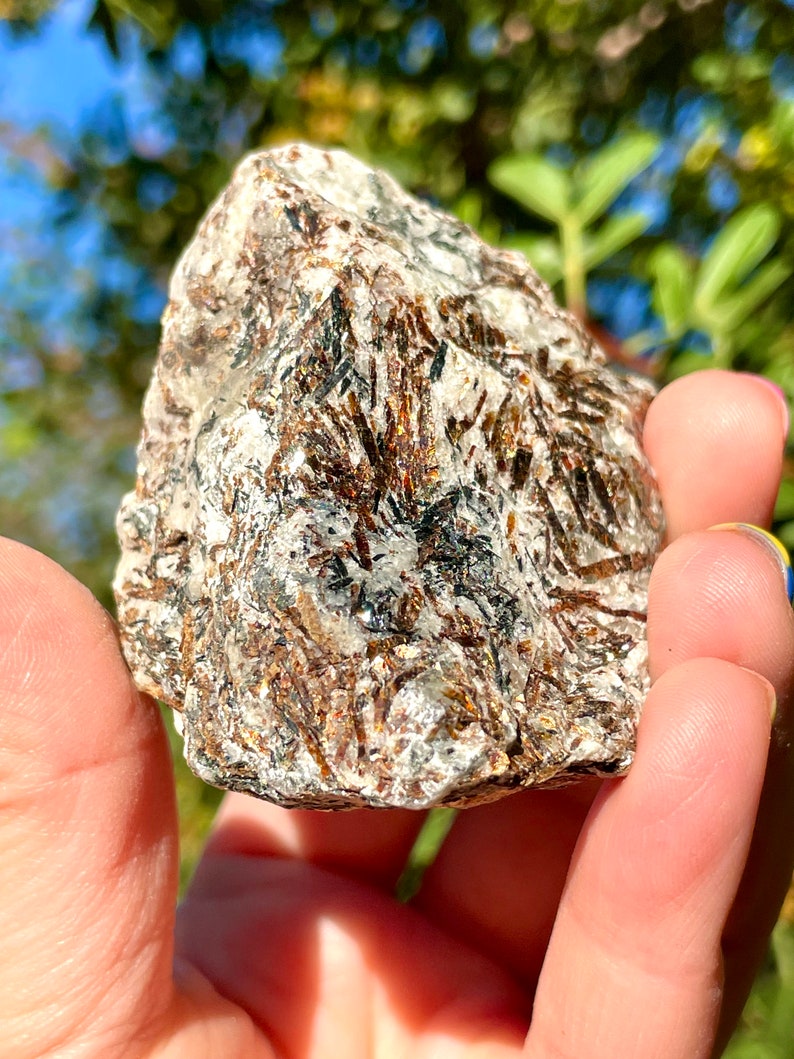 Astrophyllite Crystal Raw Rare Star Leaf Stone, Natural Collector ...