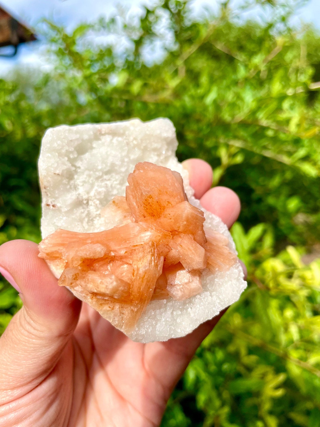 Druzy Chalcedony Crystal Stilbite Bow Tie Cluster Mineral Gems Rare ...