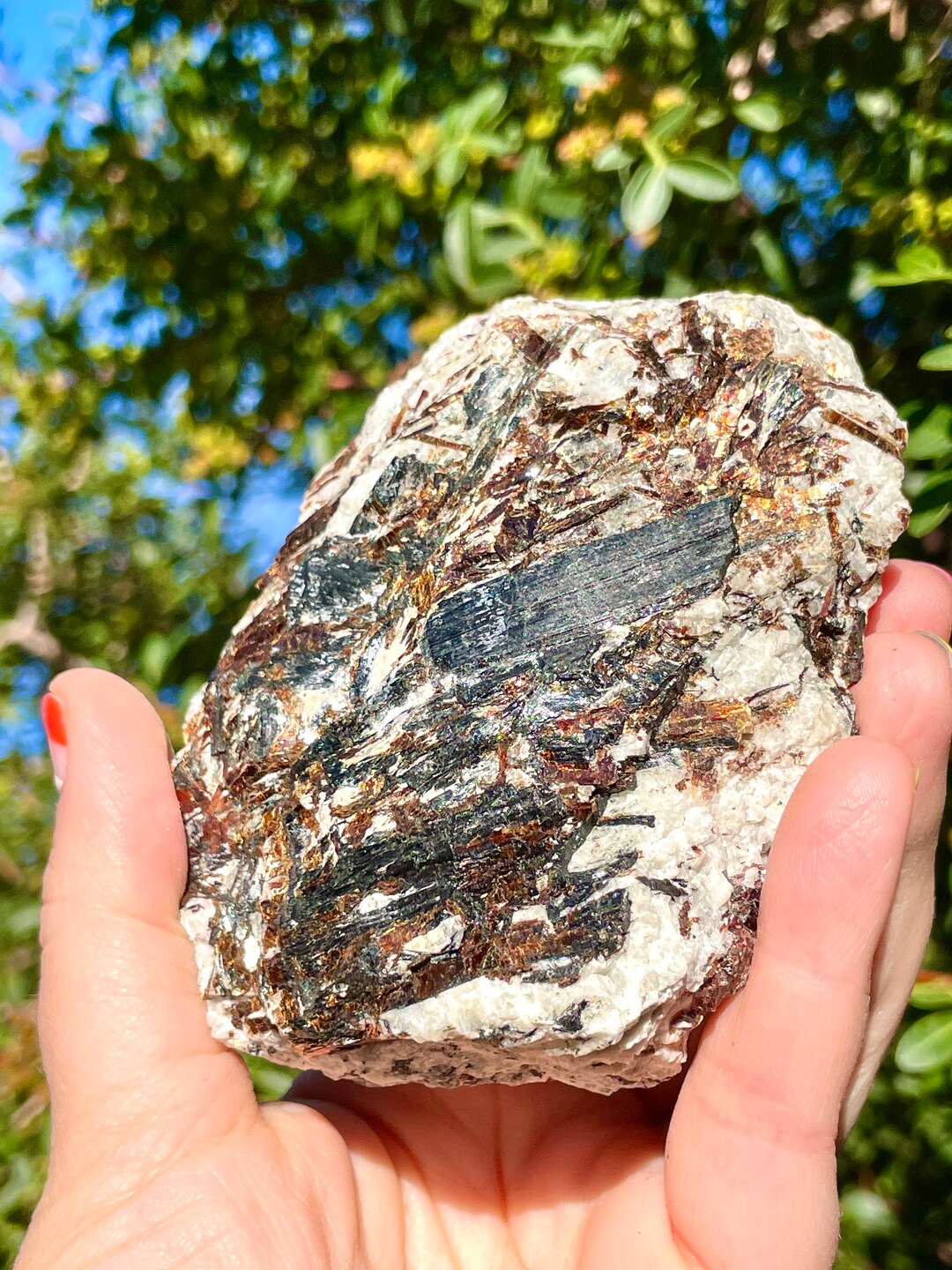 Rare Astrophyllite Crystal Cluster Schorl Tourmaline, Star Leaf Mineral ...