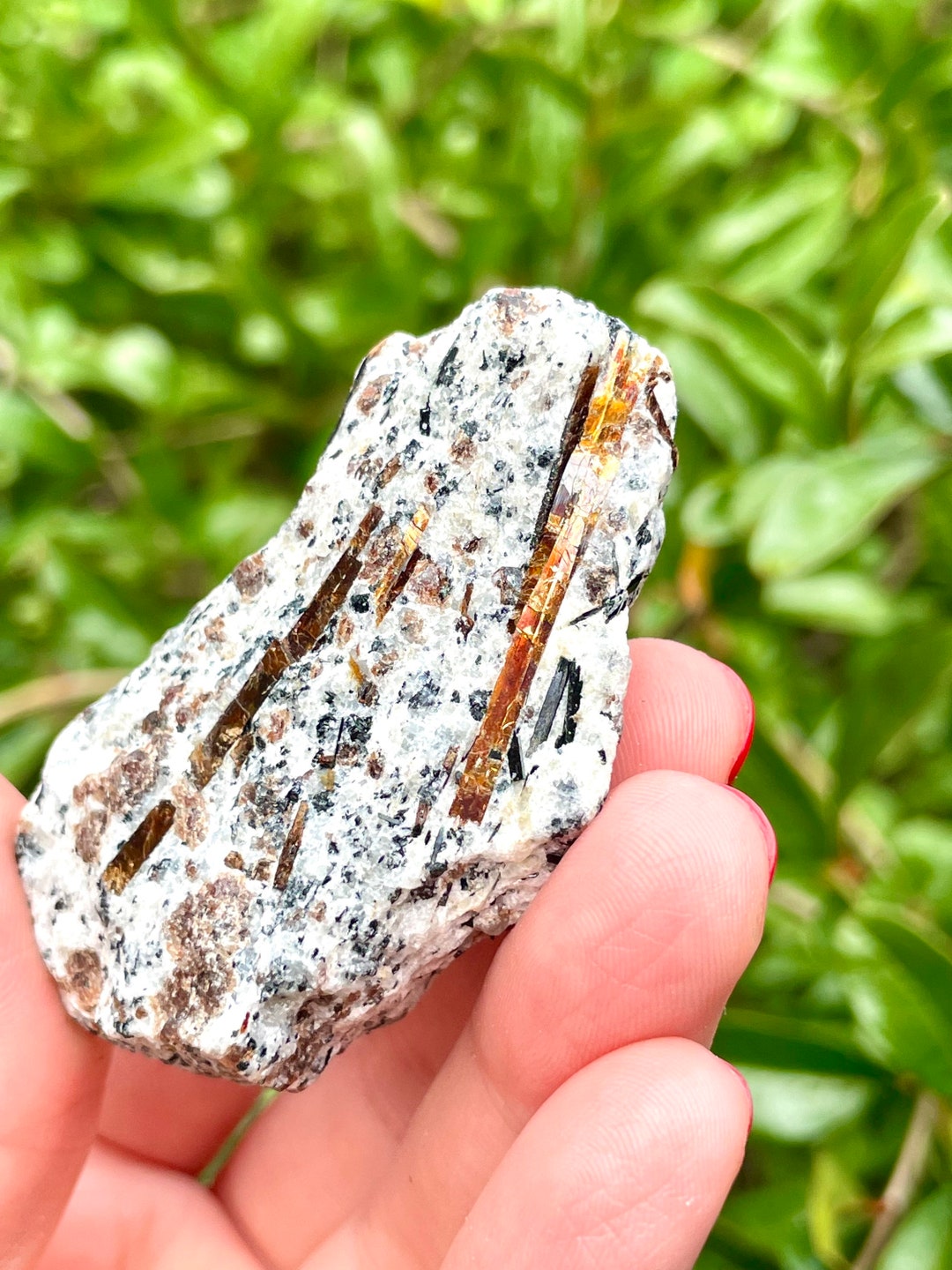 RARE Astrophyllite Crystal Rare Raw Immense Energy Star Leaf Crystal ...