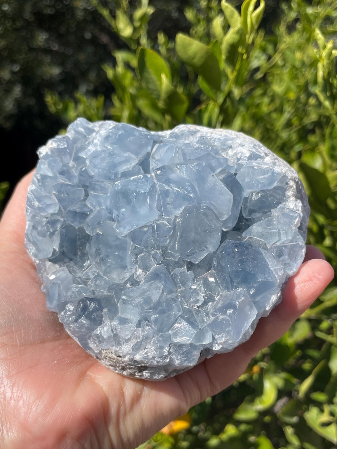 Sky Blue Celestite Geode Big Crystals Sparky Celestine From Madagascar ...
