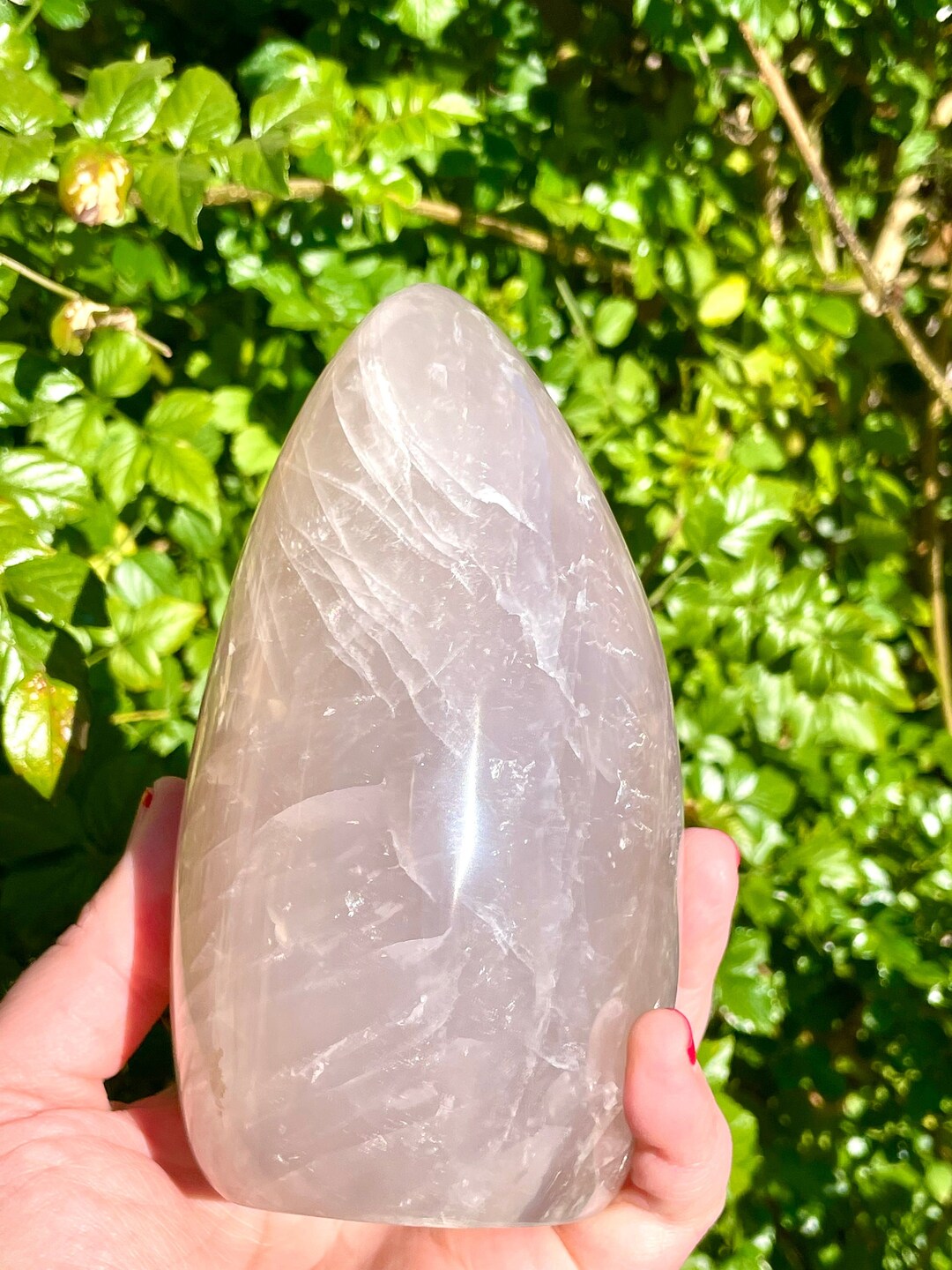 Blue Rose Quartz Free Form RARE Blue Rose Quartz Asterism Etsy Blue Rose Quartz Free Form RARE Blue Rose Quartz Asterism Etsy