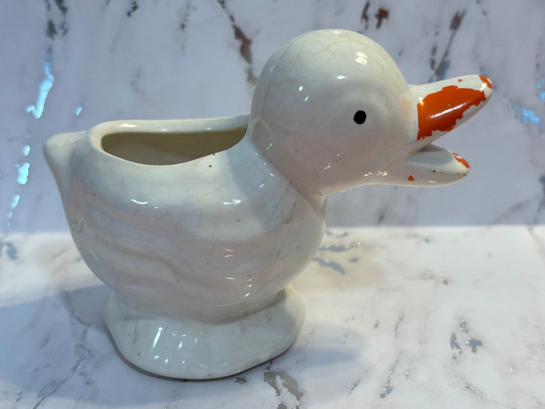 Kitschy Duck Small Planter Air Plant or Toothpick Holder - Etsy