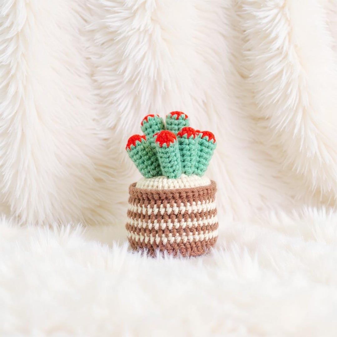 Crassula Ovata Hobbi Crochet Pattern, Cute Amigurumi Jade Plant PDF ...