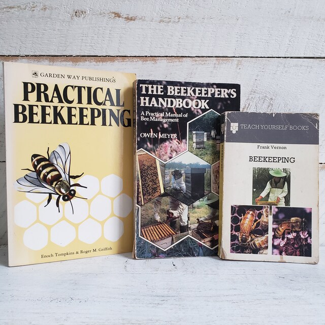 gazaboo - Etsy Canada