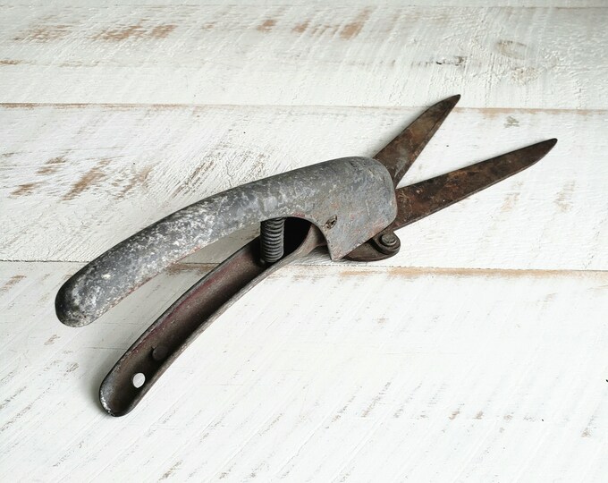 Vintage Forged Steel Pruning Shears, SCUDO Made in Angesa Italy ...