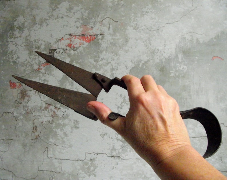 Sheep Shears With Thumb & Finger Grips Vintage Industrial - Etsy