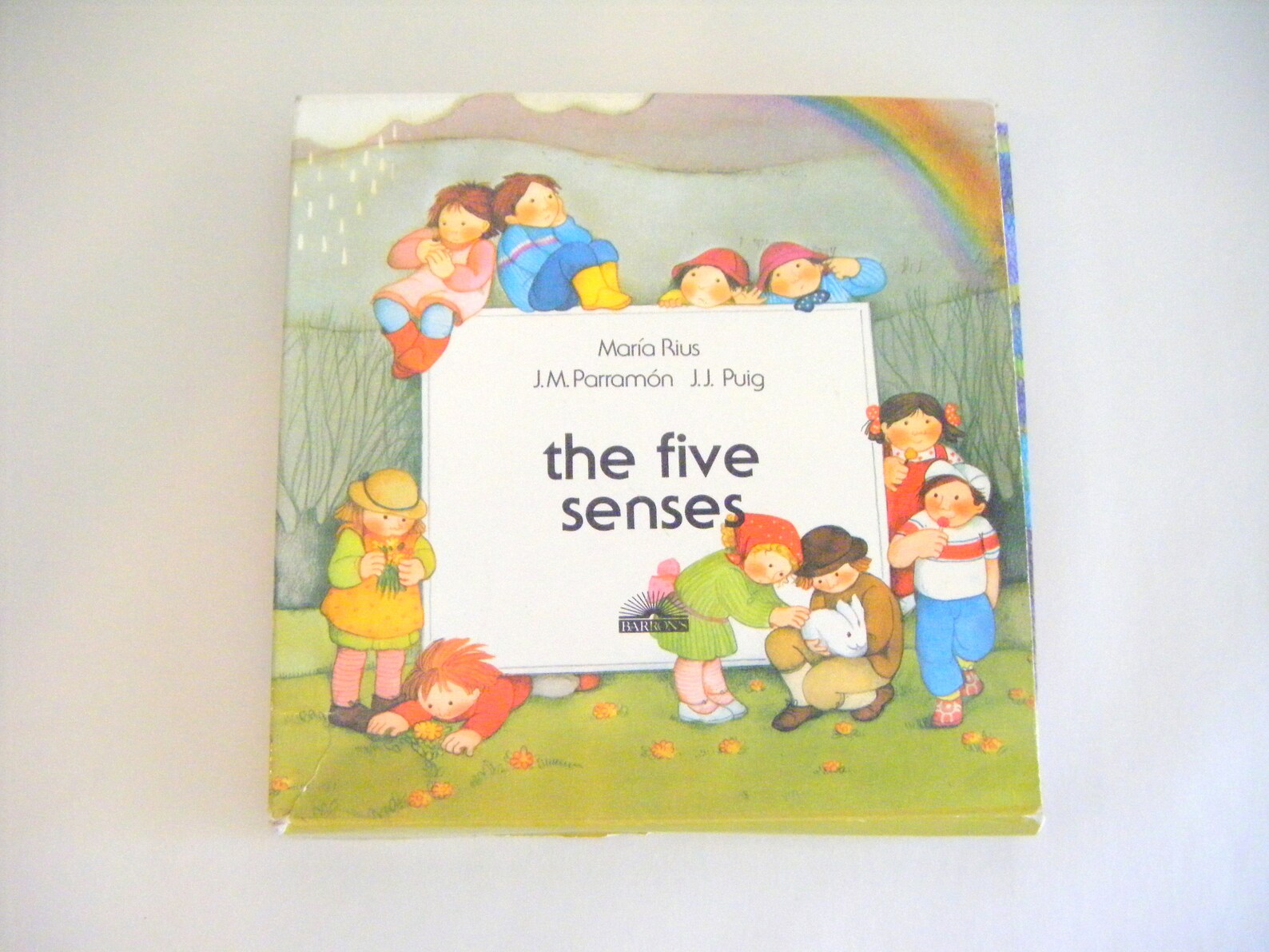 Vintage Set of the Five Senses Paperback Books Science Biology Health ...