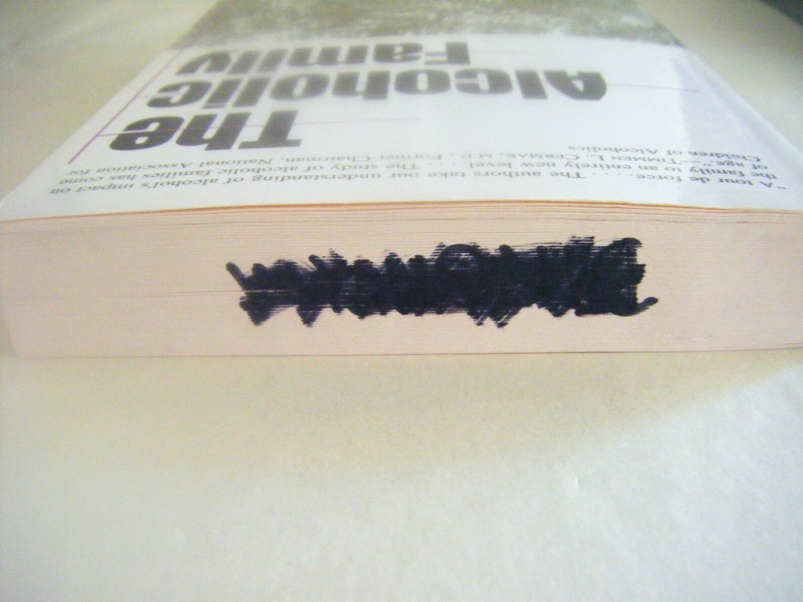 Vintage the Alcoholic Family Paperback Book Therapy Addiction ...