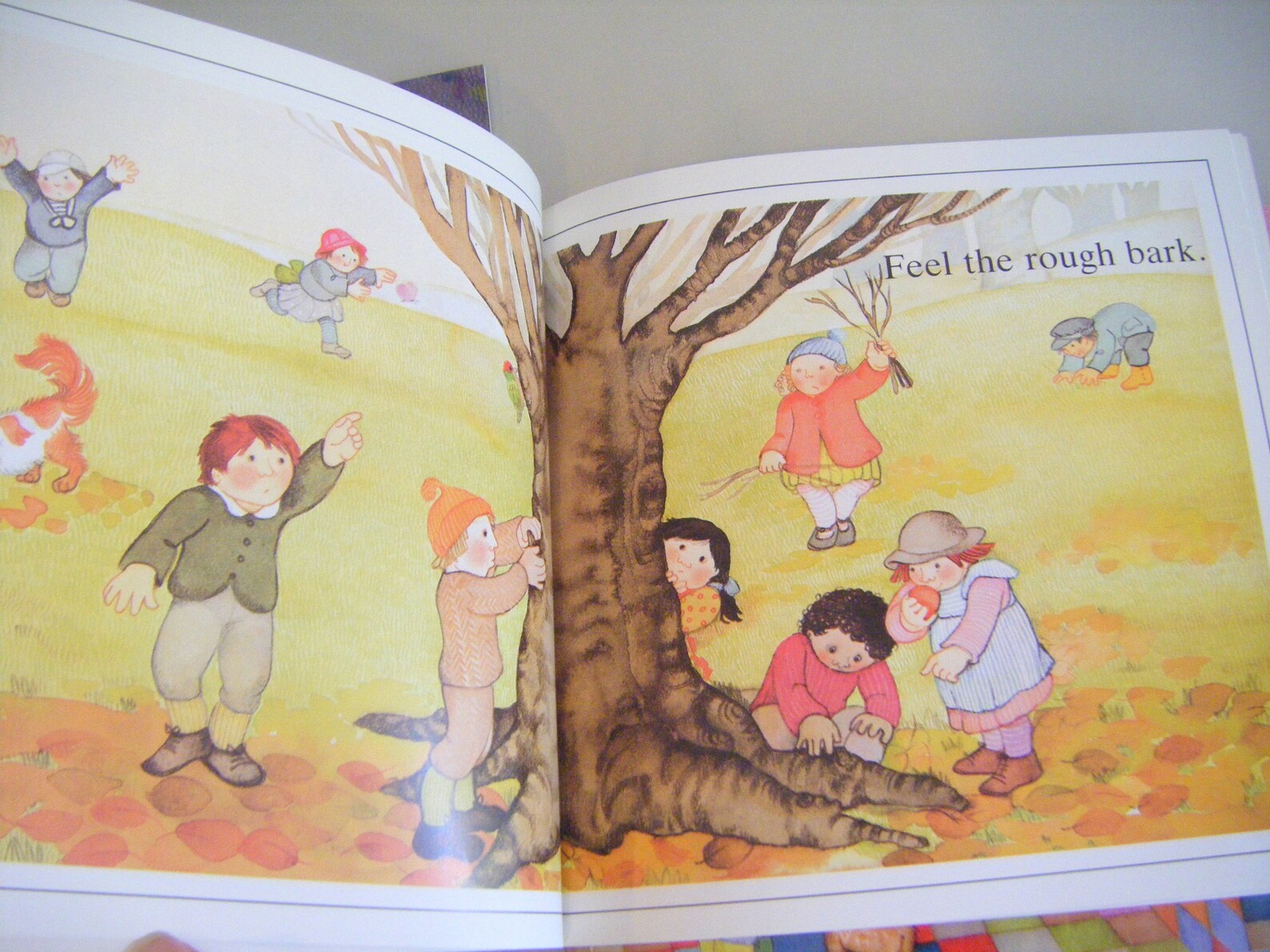 Vintage Set of the Five Senses Paperback Books Science Biology - Etsy