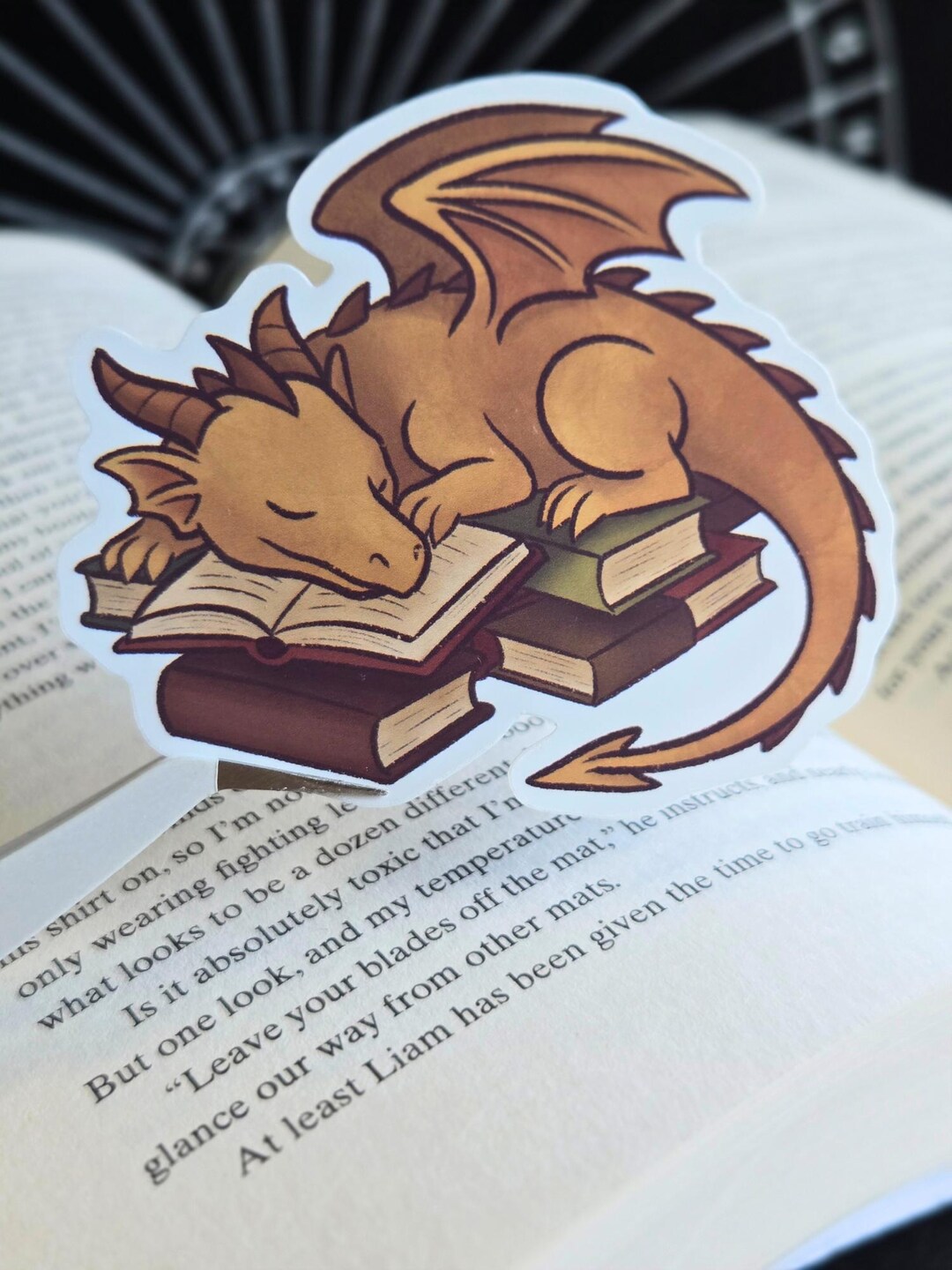 Book Dragon Sticker | Bookish Fantasy Sticker - Etsy