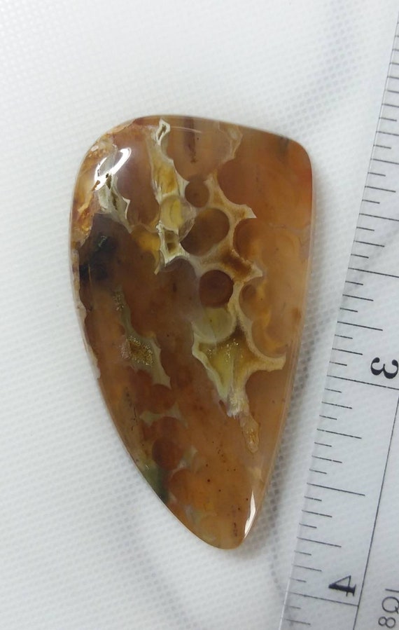 Translucent Old Stock Ocean Jasper Cabochon - Etsy