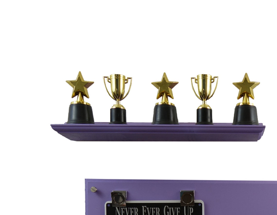 Trophy Shelf 20 Colors Matching Shelves 4 Medals Holder - Etsy