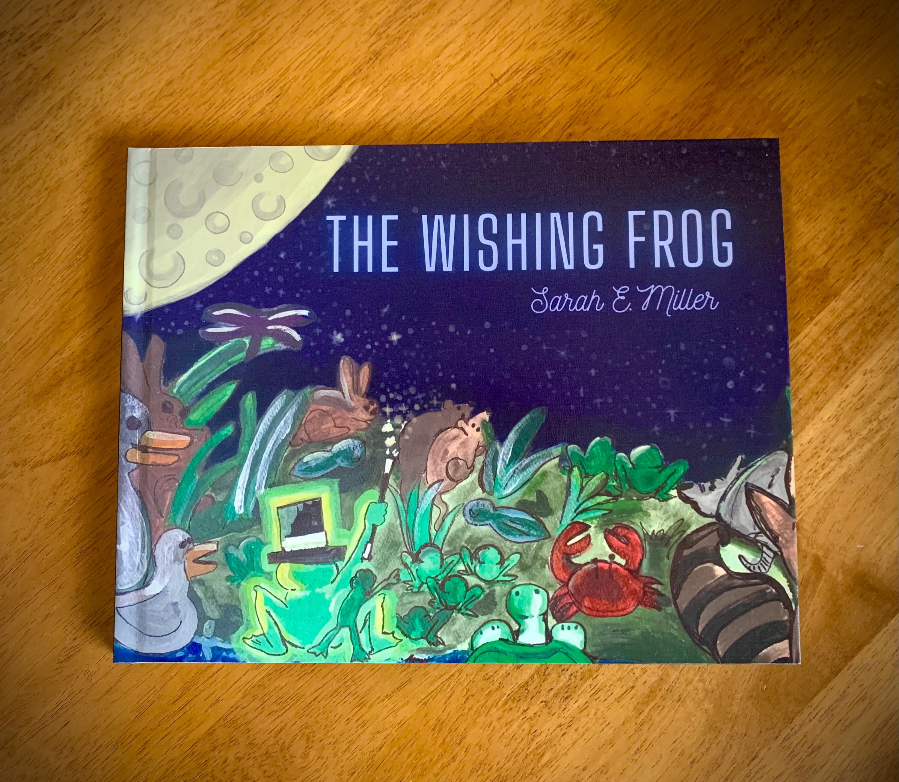 The Wishing Frog Children's Book - Etsy