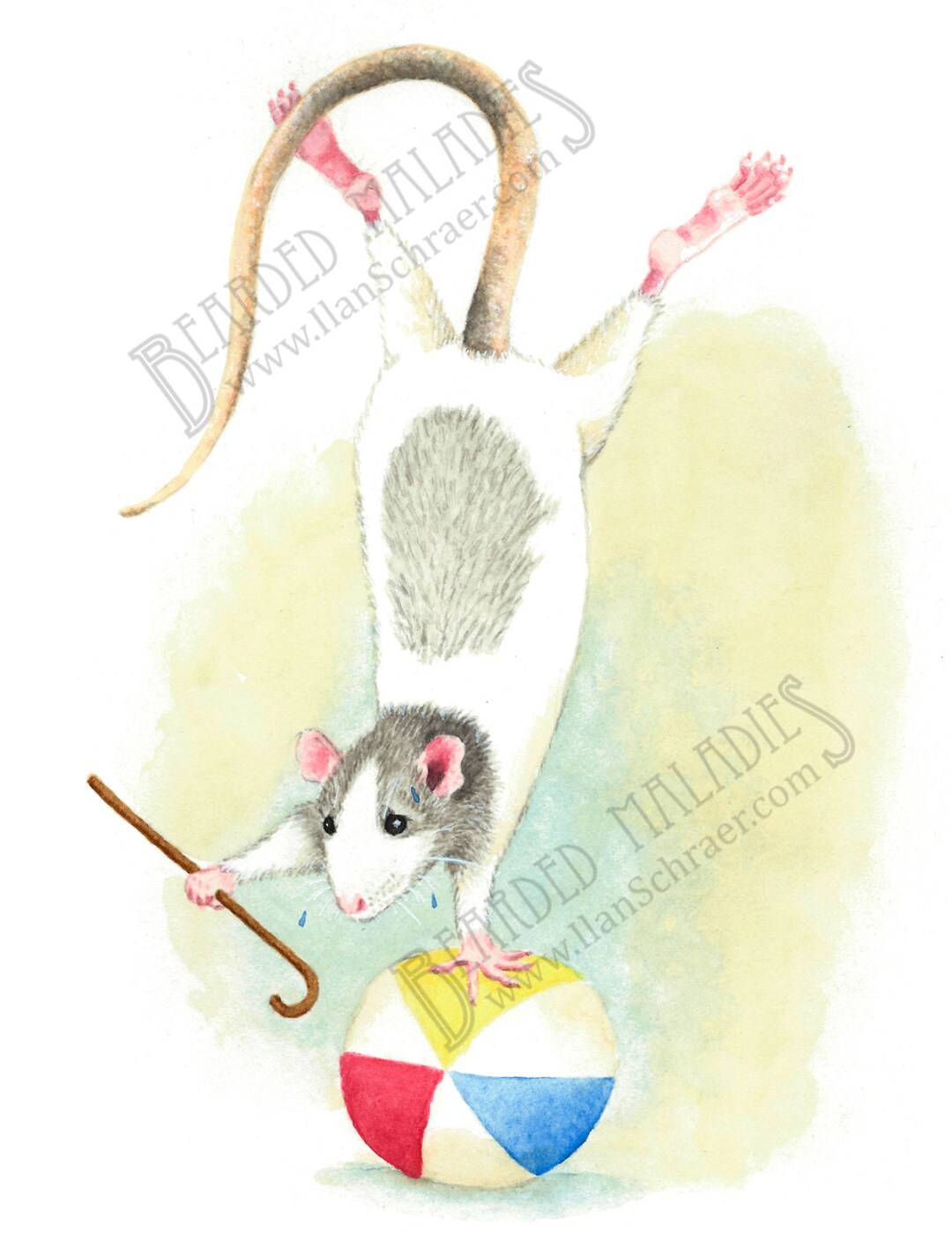 Cute Rat Greeting Card, Blank Inside - Etsy