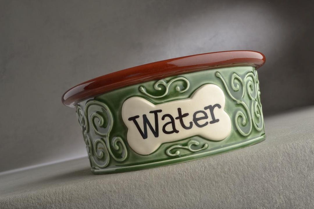 Personalized Dog Bowl Single Green Brown Curls Ceramic Pet Dish Made to ...