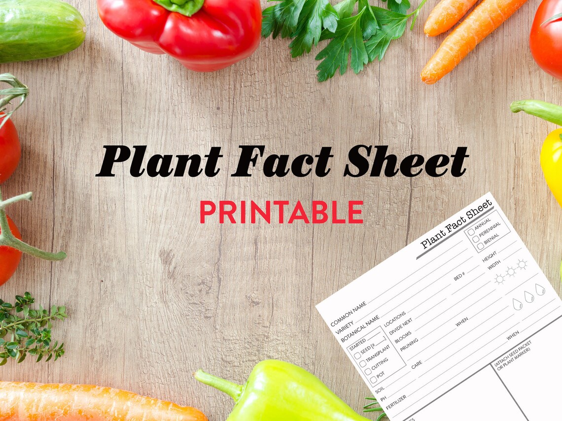 Garden Planner Plant Fact Sheet / Digital Download / Printable - Etsy