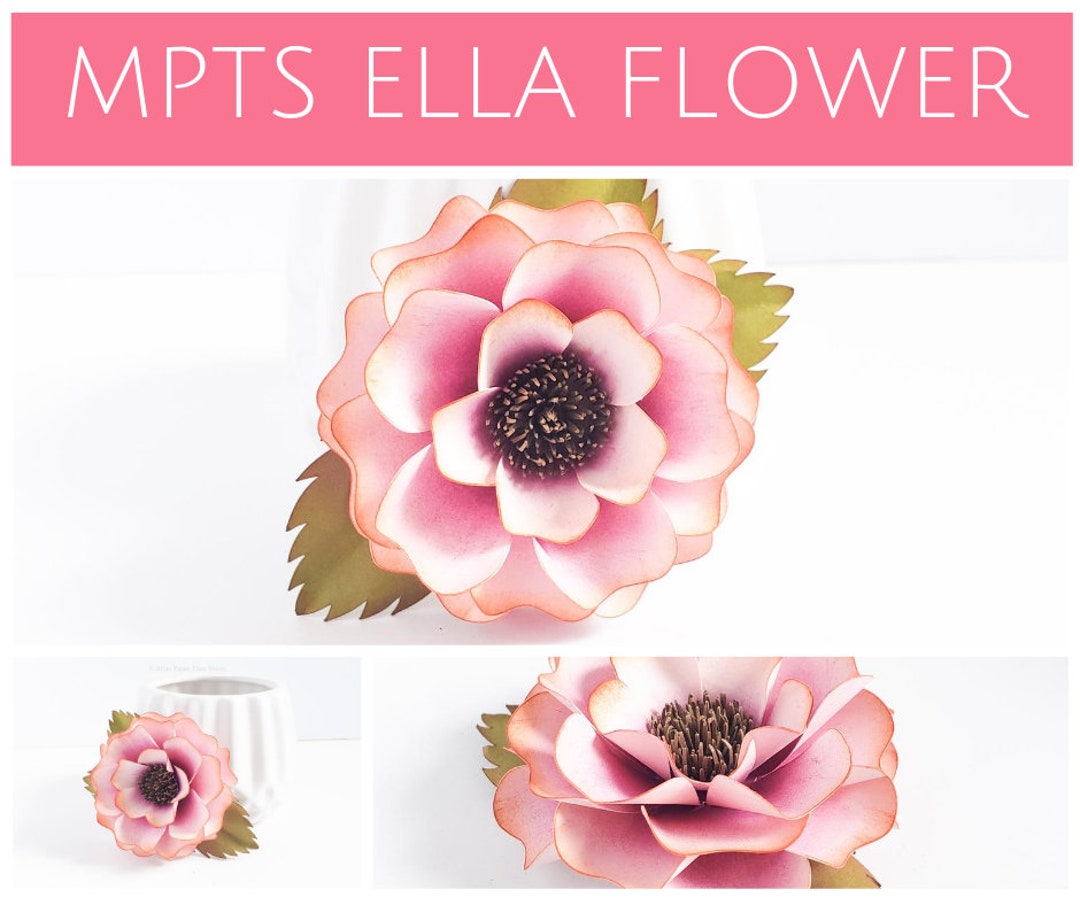 Easy Paper Flower Tutorial Paper Flower Templates Cricut - Etsy