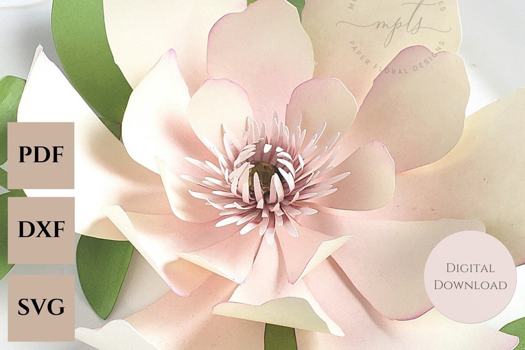 Paper Flower Template - Paper Flower Tutorial - Cricut - 3D Flowers ...