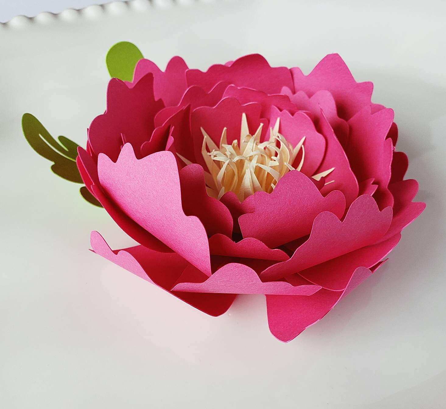 SVG File Paper Flower Tutorial Paper Flower Templates - Etsy