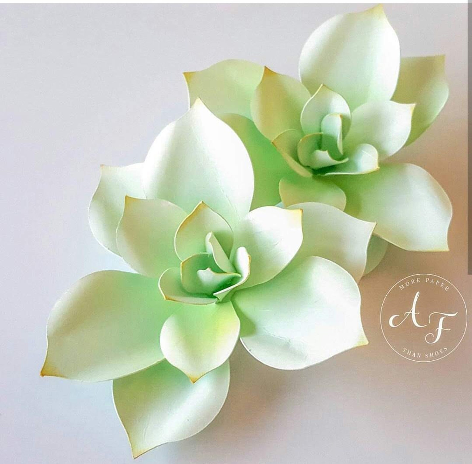 Paper Flowers Paper Succulent DIY Paper Flowers Paper | Etsy